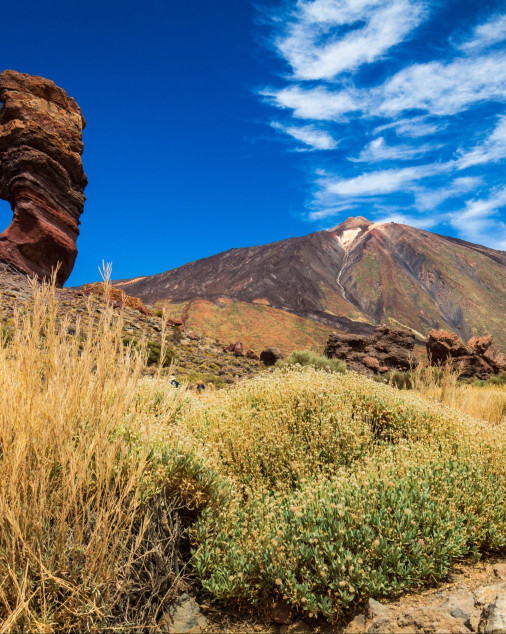 Holidays in Tenerife | Dreamplace Hotels & Resorts