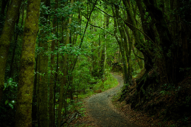 Sustainability | Dreamplace Hotels & Resorts